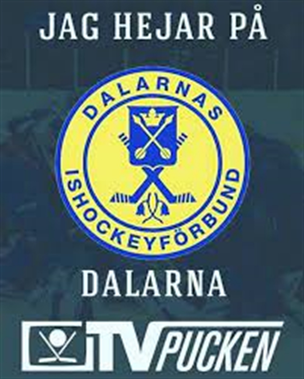 Dalarnas TV-Pucktrupp 2025 Pojkar / Dalarnas Ishockeyförbund - Dalarna TV-Pucken Pojkar